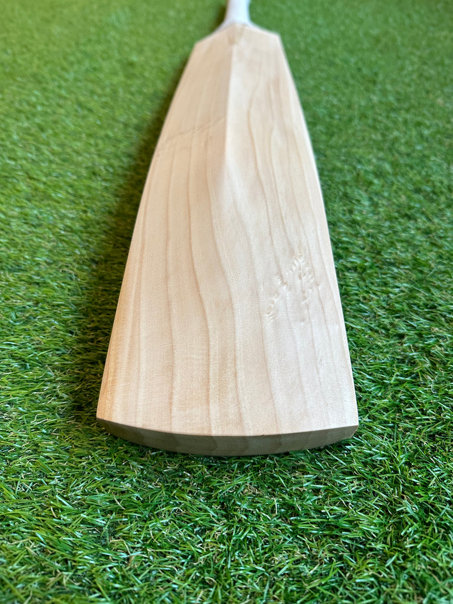 Plain Sachin Tendulkar Profile Cricket Bat | Grade 1+ – DKP Cricket