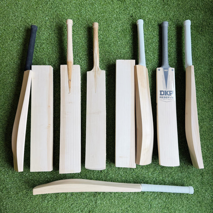 SG Players Edition Cricket Bat | New Model – DKP Cricket